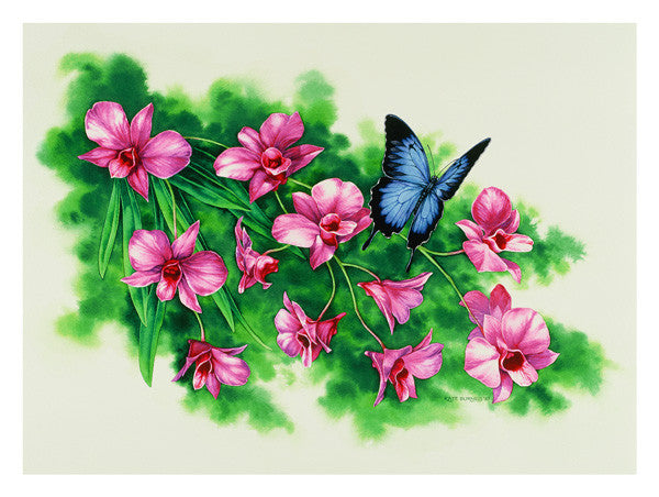 Cooktown Orchid and Blue Ulysses Butterfly – Kate Burness Art