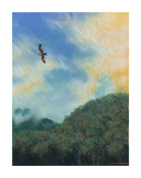 Eagle – Kate Burness Art