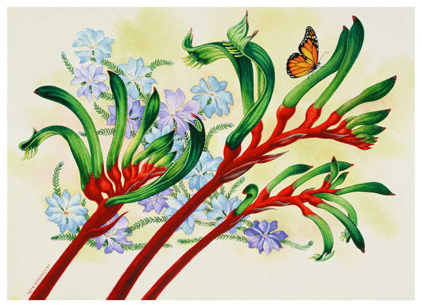 Kangaroo Paw and Leschenaultia – Kate Burness Art